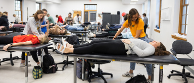 Department of Physical Therapy and Rehabilitation Science | Carver ...